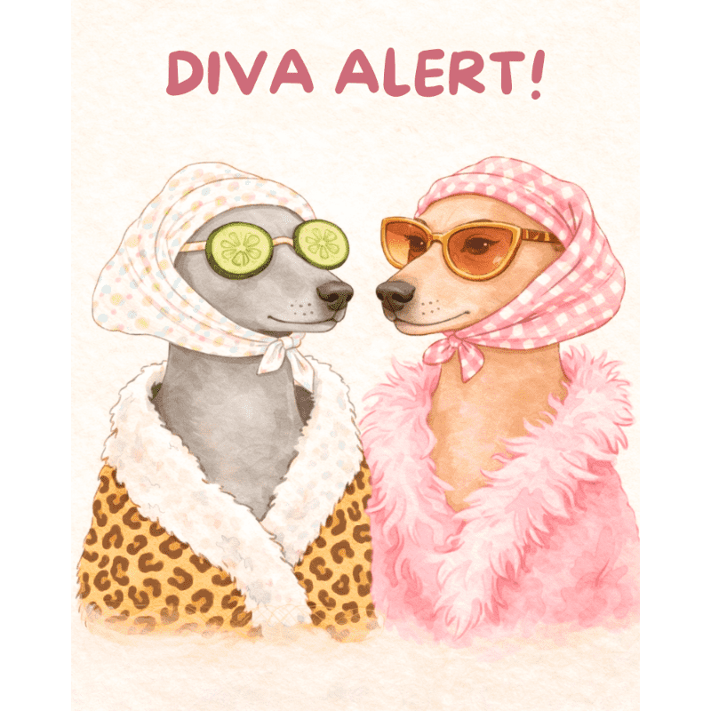 Diva-alarm | Schilderen op Nummer – Schilder Op Nummers