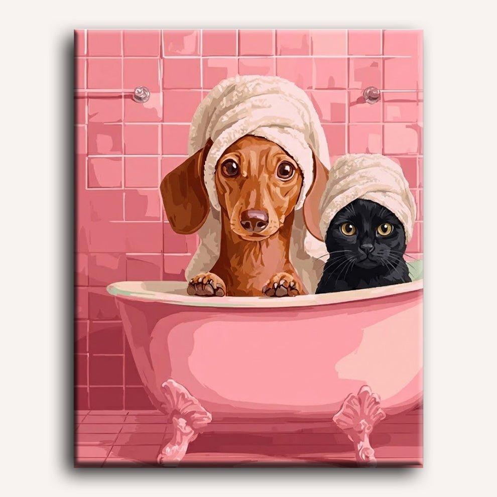 Teckel & kat in bad | Schilderen op Nummer – Schilder Op Nummers